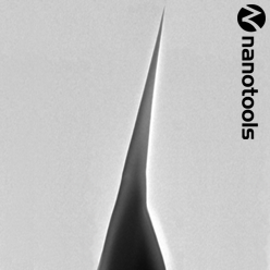 AFM Probe: AFM Tip EBD-AR15T - AFM Probes, Apex Probes Ltd