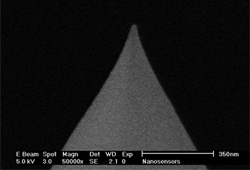 AFM Probe: AFM Tip PPP-LC-MFMR - AFM Probes, Apex Probes Ltd
