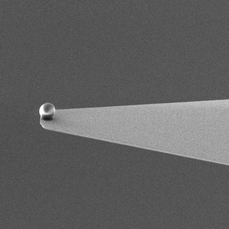 AFM Probe: AFM Tip CP-PNP-PS - AFM Probes, Apex Probes Ltd
