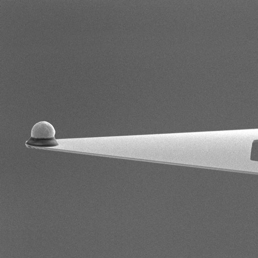 AFM Probe: AFM Tip CP-PNP-Au - AFM Probes, Apex Probes Ltd