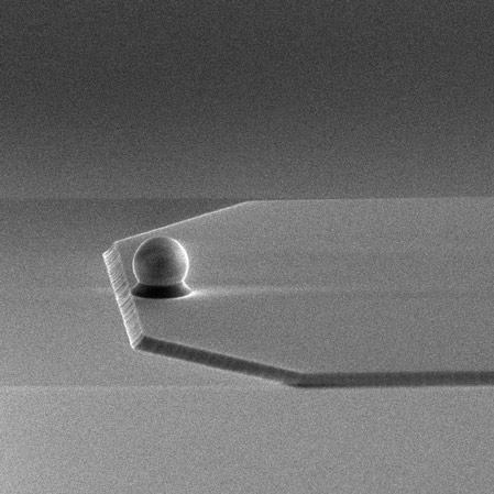 AFM Probe: AFM Tip CP-qp-SCONT-SiO - AFM Probes, Apex Probes Ltd
